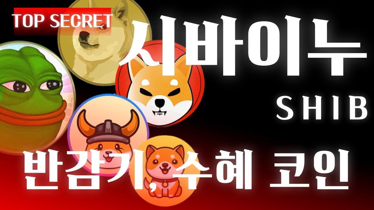 『시바이누』 적죽률 999 Ai 반감기 최고 수혜 코인 1위 Shib 과연 그 시기와 상승률은 어떻게 될까 시바이누