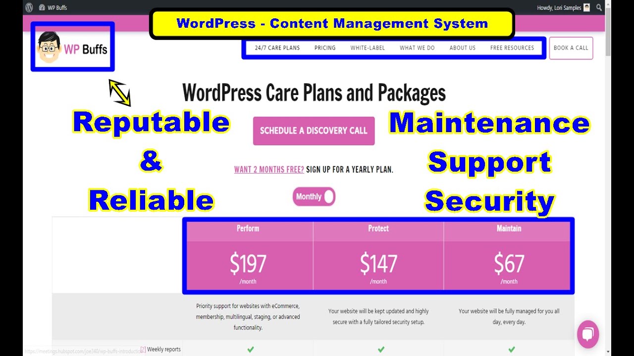 WP Buffs | WordPress Maintenance Plans and Support Service - YouTube