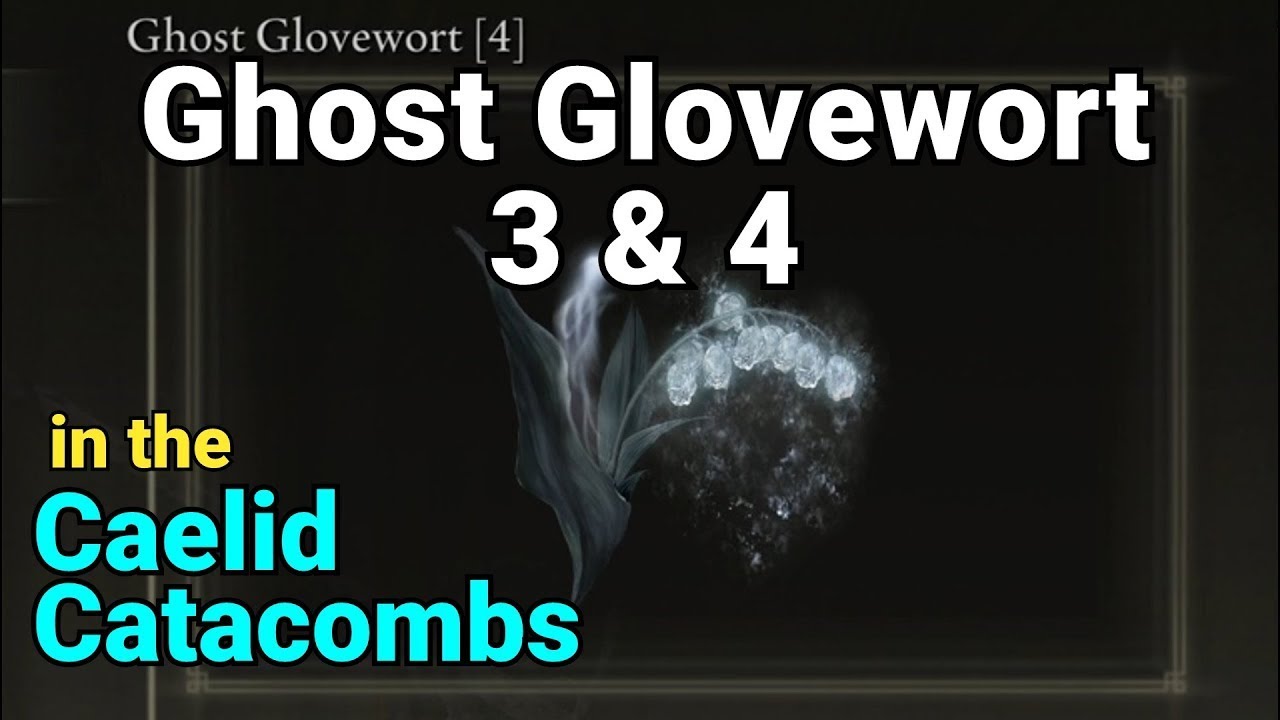 Ghost Glovewort 3 - Ghost Glovewort 4 - Caelid Catacombs - Elden Ring ...