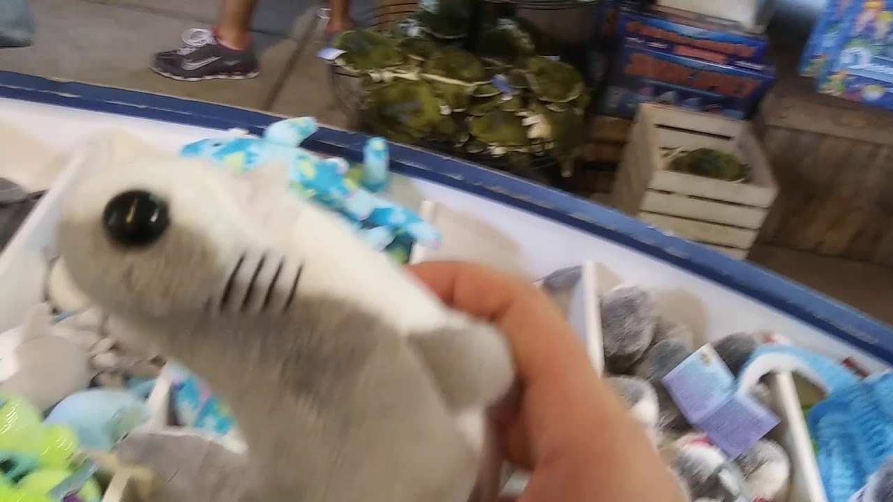 The Saint Louis Zoo, part 5, the Stingrays - YouTube