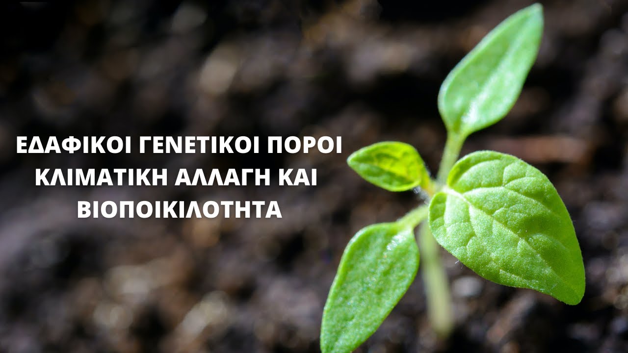 ΕΚΠΑΙΔΕΥΤΙΚΟ ΕΡΓΑΣΤΗΡΙ - Εδαφικοί γενετικοί πόροι, κλιματική αλλαγή και ...