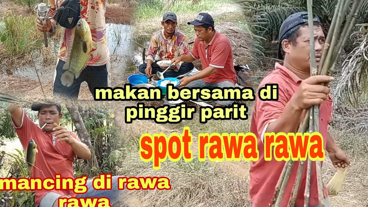 spot rawa rawa baru - YouTube