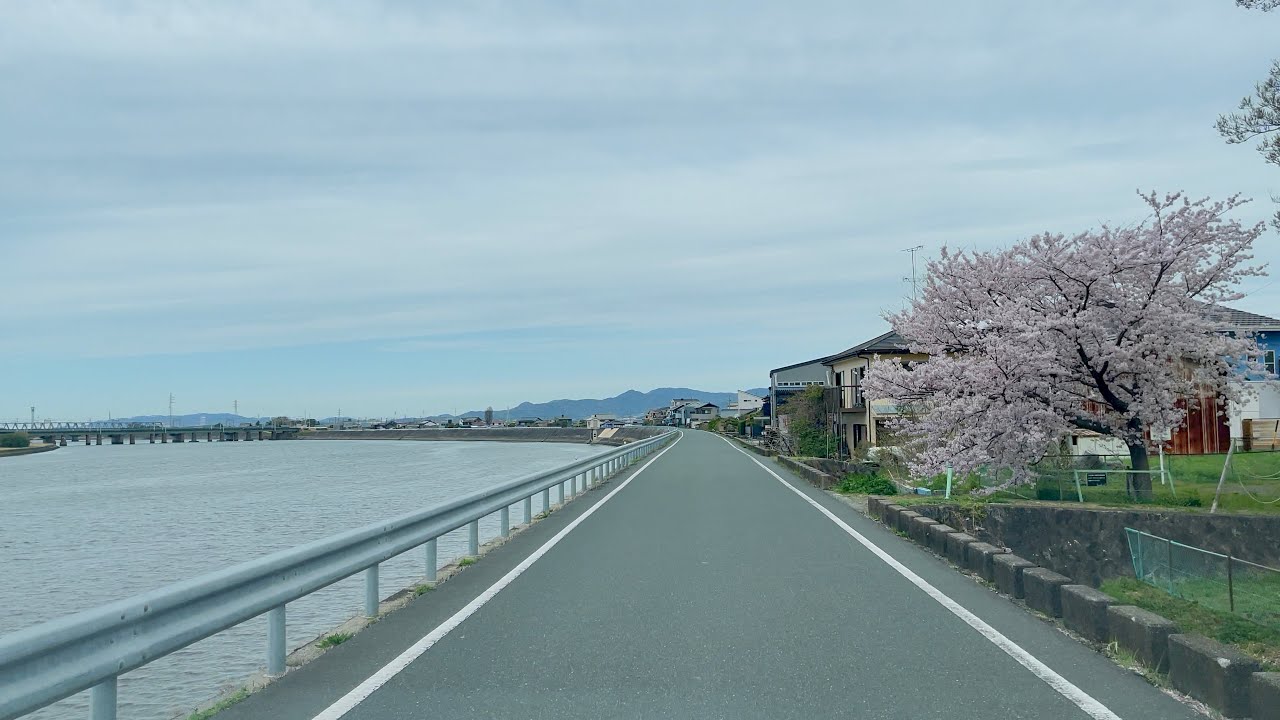 Driving Around Toyohashi City Aichi Japan | Toyohashi Park Cherry ...