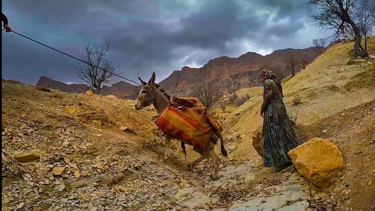 The hard life of nomads: the nomadic life of Iran - YouTube