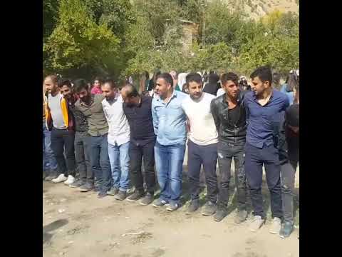 Hakkari düğünleri  Govend Kürtlerin Halayi  (Kurdish Wedding) üzümcü köyü