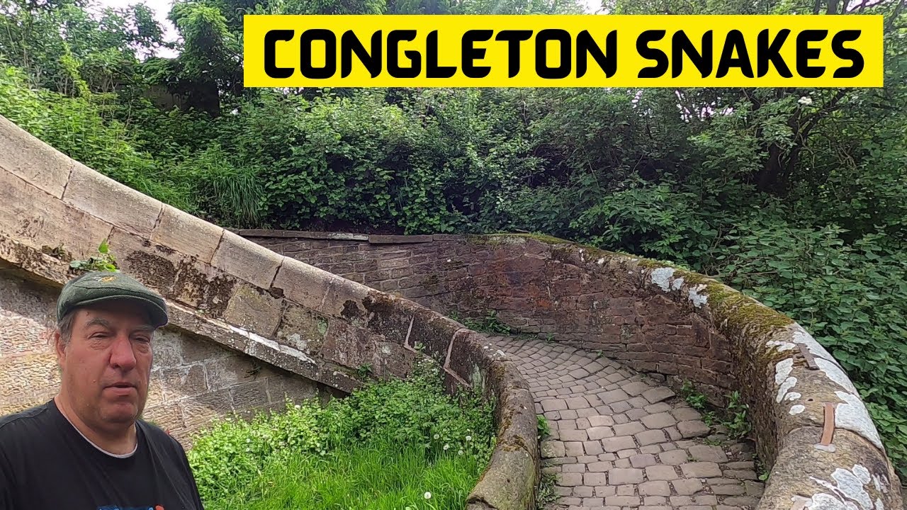 Congleton Snakes - Bridges That Is. - YouTube