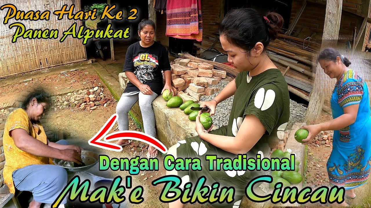 LEMESS ‼️ KEGIATAN HARI INI PANEN BUAH ALPUKAT & MBOLANG CARI DAUN ...