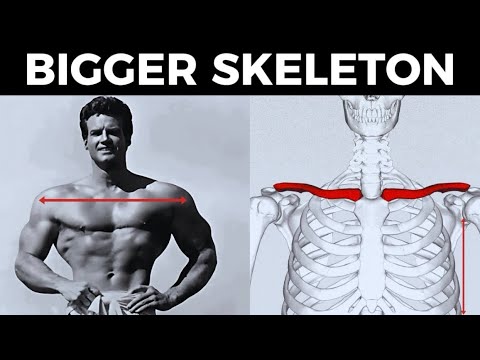 The Ultimate Guide To Building Massive Delts - YouTube