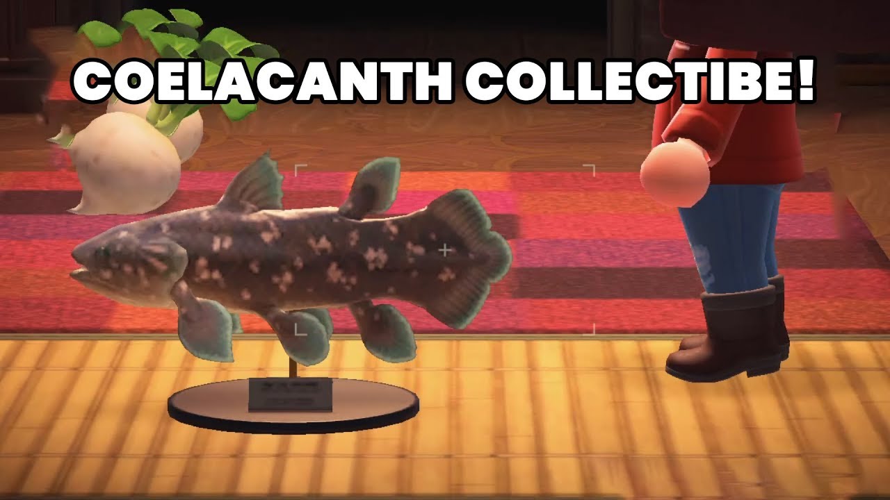 Coelacanth Collectible Fish Figure from C.J. in Animal Crossing New ...
