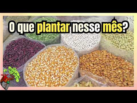O que Plantar em JULHO em Cada Região do Brasil?