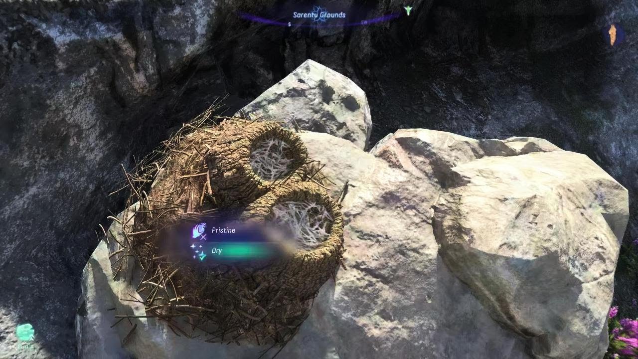 Coronis eggs in high plains in Avatar: Frontiers of Pandora - YouTube