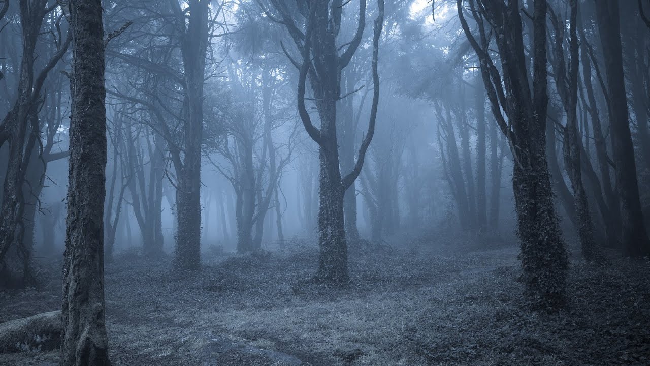 Dark Winter Music – Forest of Cold Mist | Spooky, Magical - YouTube