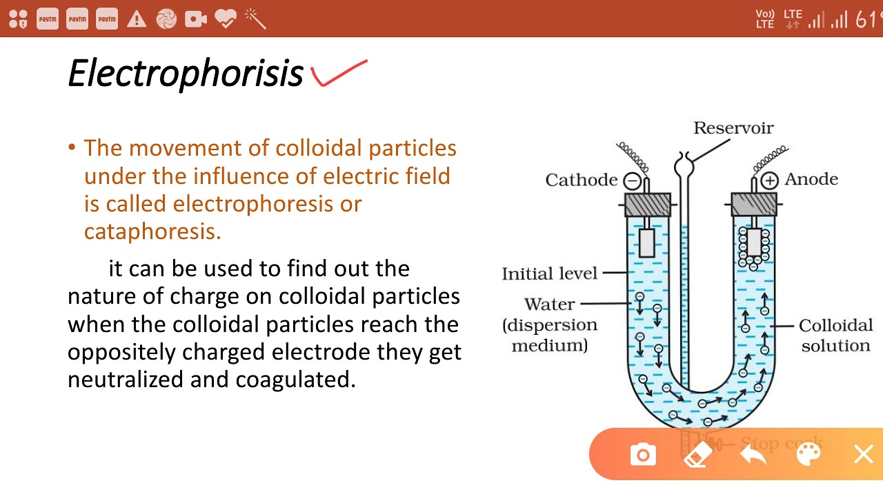 Electrophoresis - YouTube