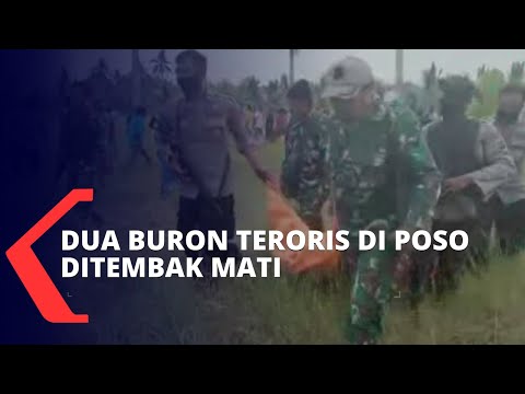 Dua Buron Teroris Anggota Mujahidin Indonesia Timur di Poso Ditembak Mati
