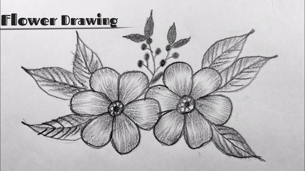 Flower Drawing💐Tutorial Step By Step || Flower Drawing Tutorial ...