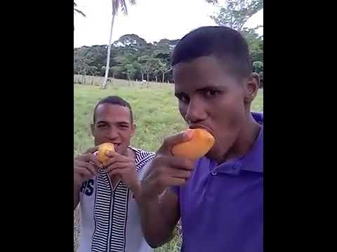 Aquí con mi primo lucah tu sabe comiendo un manguito clásico meme - YouTube