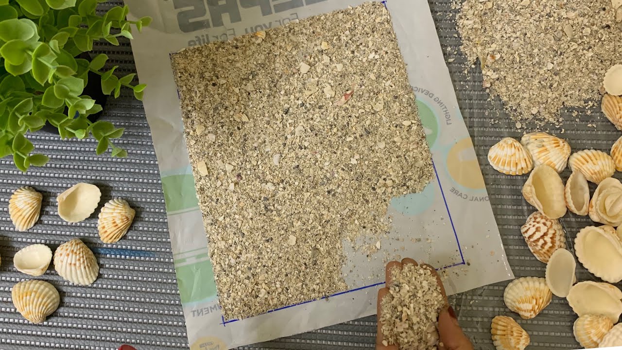 Sand Craft Ideas | Easy Home Decoration | Wall Hanging with Seashells ...