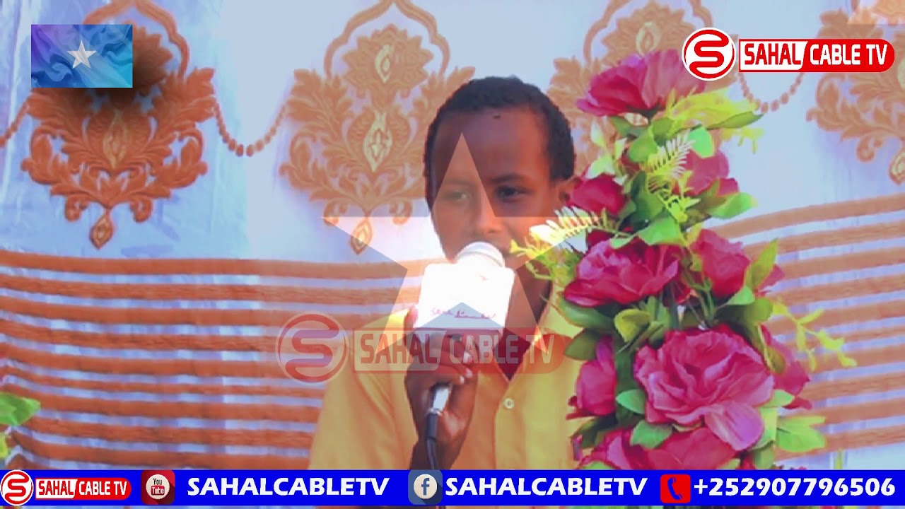 Arday Hees Wadani ah | Qiimaha Calanka Soomaaliyeed - YouTube