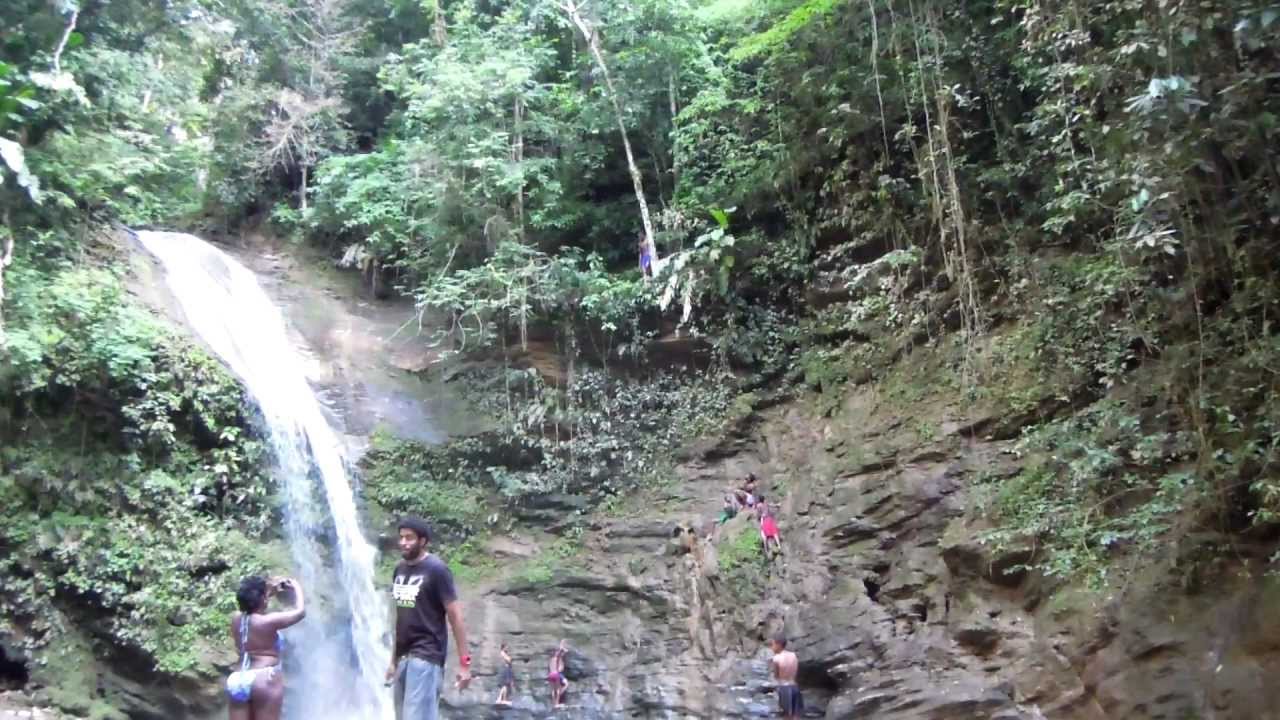 Cliff Diving 2 @ Blue Basin Falls, Trinidad - YouTube