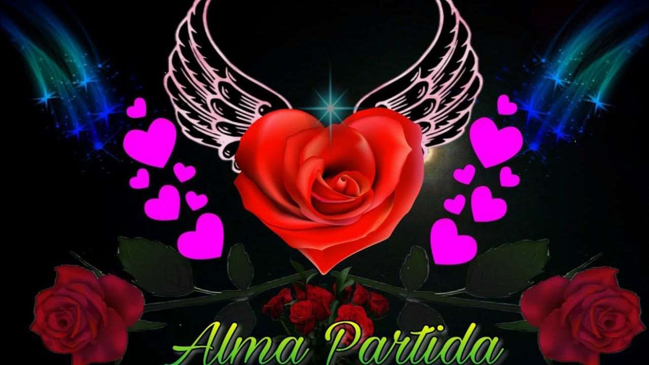 Alma Partida 💔 Grupo Magayin (2019)🎵🎵 - YouTube