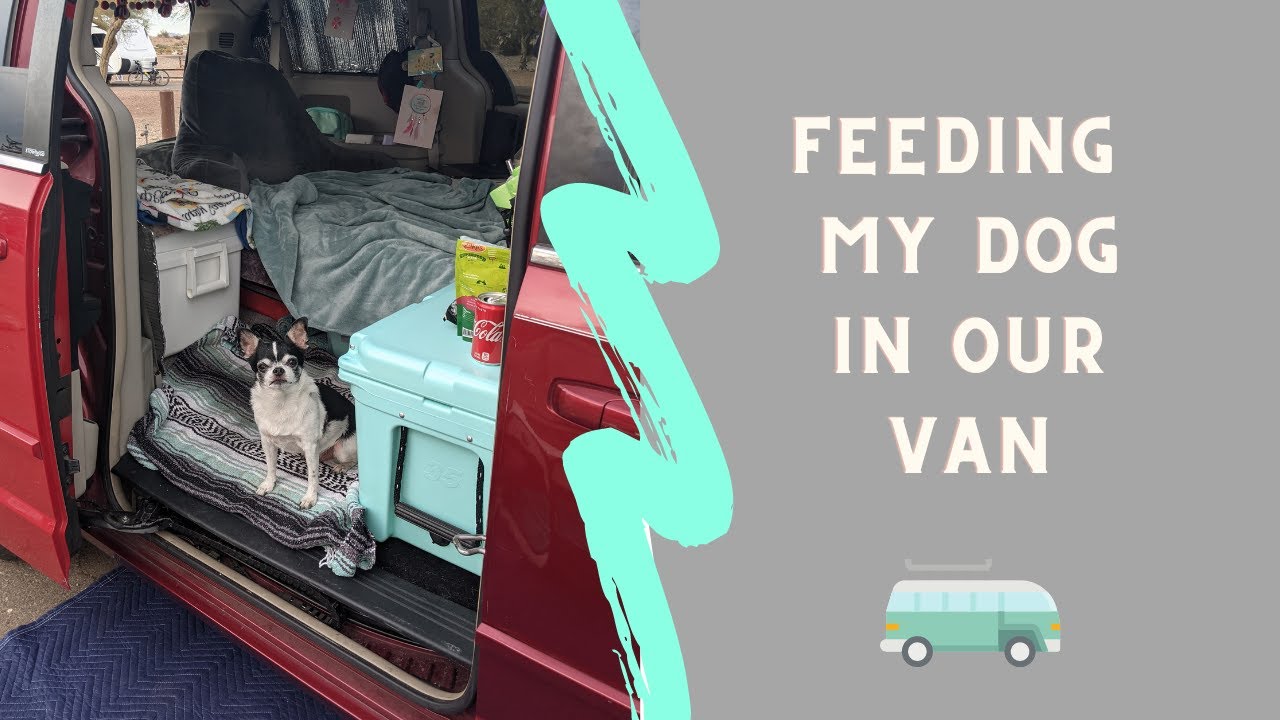 Preparing My Dog's Meals in Our Van | Minivan Camper Conversion | Van ...