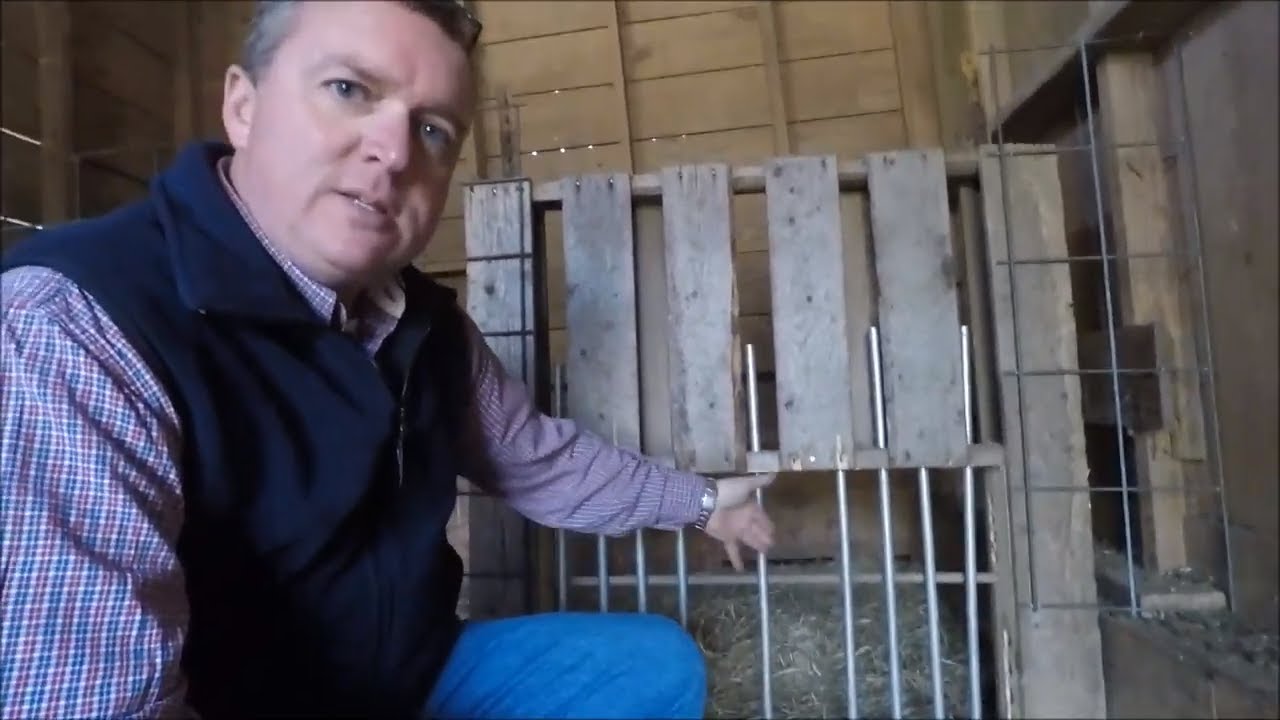The ADVANTAGES Of A Creep Feeder For GOAT FARMING - BUILT OUT OF A ...
