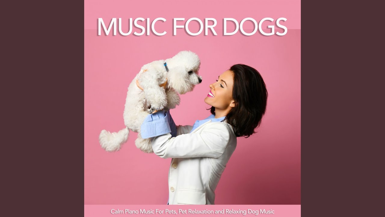 Music For Dogs YouTube music-for-dogs-youtube