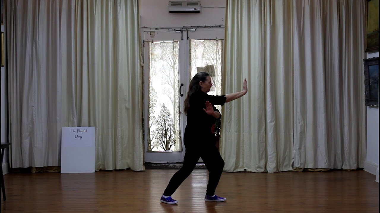 Set 18 The Playful Dog Tai Chi Lee Style - YouTube