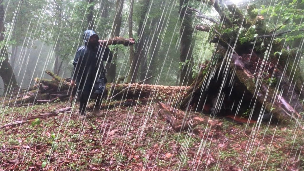 2 Days Trapped in Heavy Rain Alone | Survival Shelter Under the tree ...