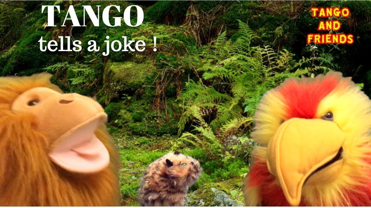 Jokes for kids - Tango doesn't get Mr Birds joke! - YouTube
