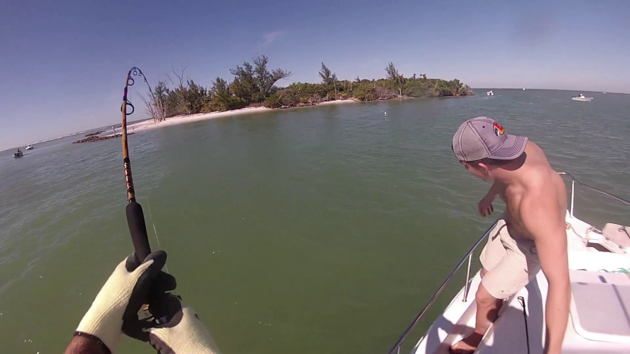 Shark fishing Redfish Pass - YouTube