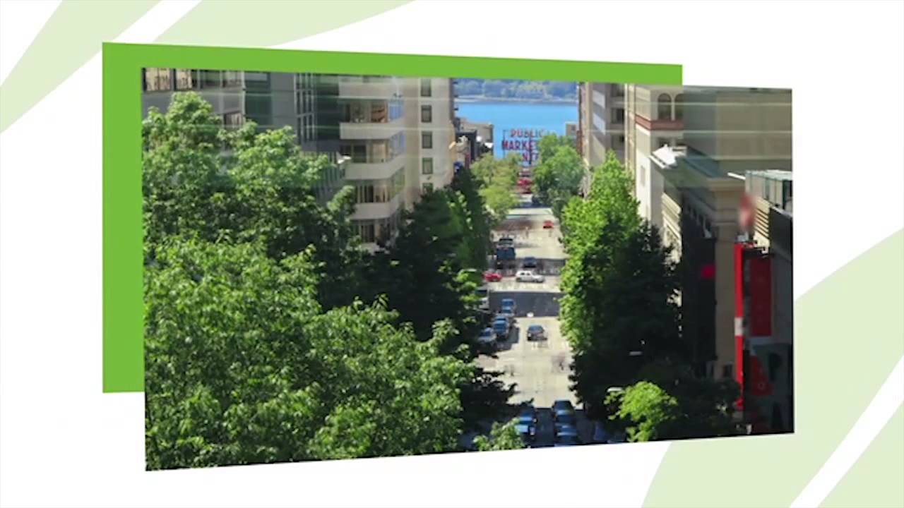 Filter Grid from Citygreen - YouTube