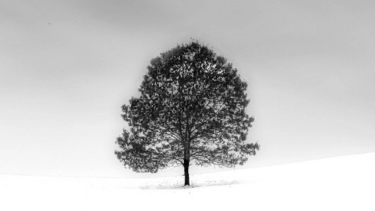 Dantic - Goodsin -Speed Up- - YouTube