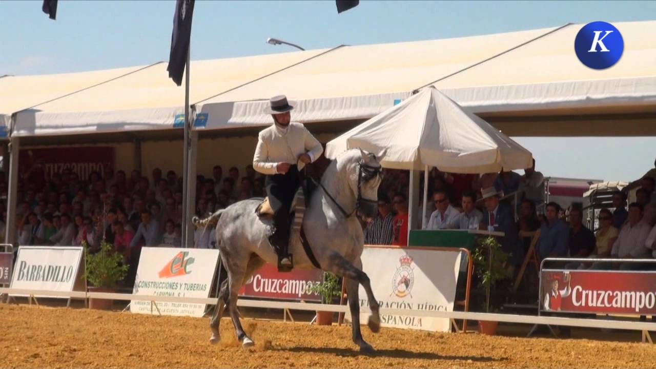 Rafael Arcos González, caballo Babieca: X Semana del Caballo en Carmona ...