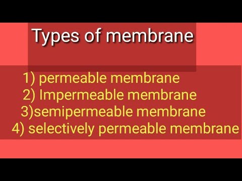 Types of membrane || permeable membrane || impermeable membrane ...