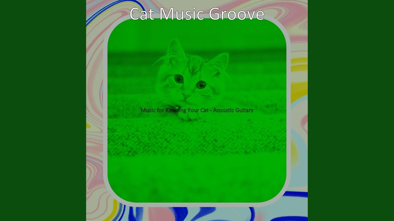 Subtle Music for Lonely Cats - YouTube