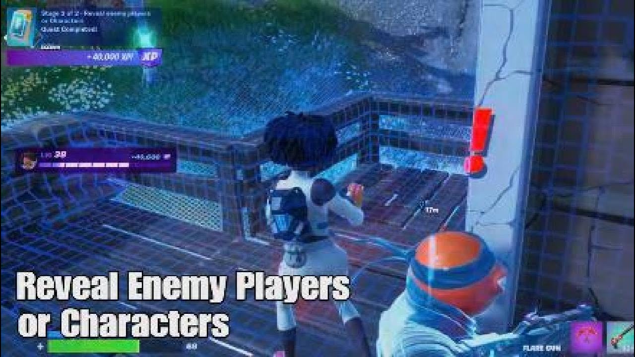 Reveal Enemy Players or Characters - Stage 2 of 2 - Fortnite Weekly ...