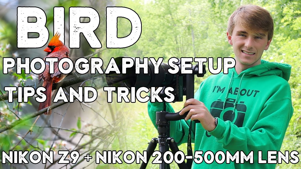 Bird Photography Setup + Tips and Tricks (With Nikon Z9 + Nikon 200 ...