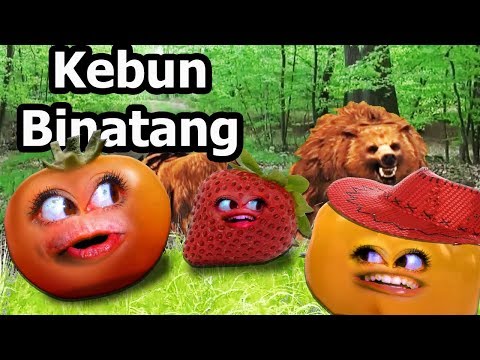 Tomat Lebay Sedang Pergi Ke Kebun Binatang