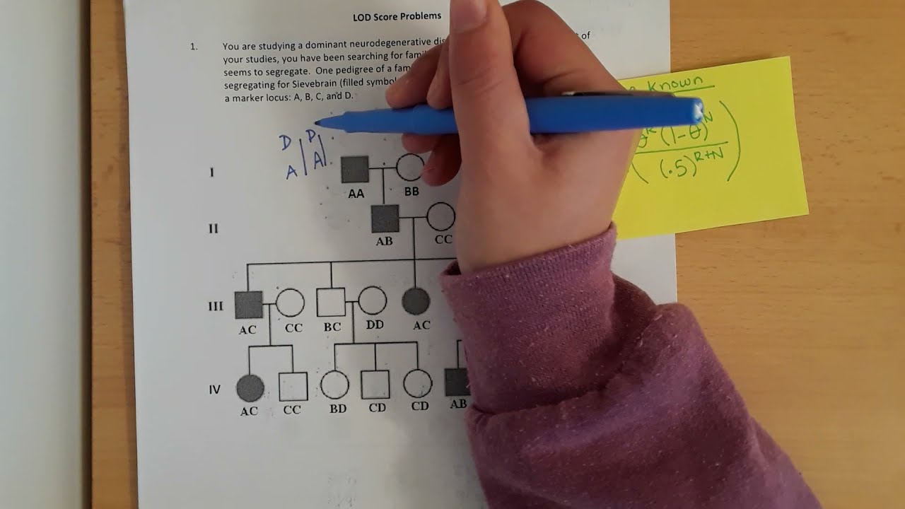 LOD score Practice Problem 5 - YouTube