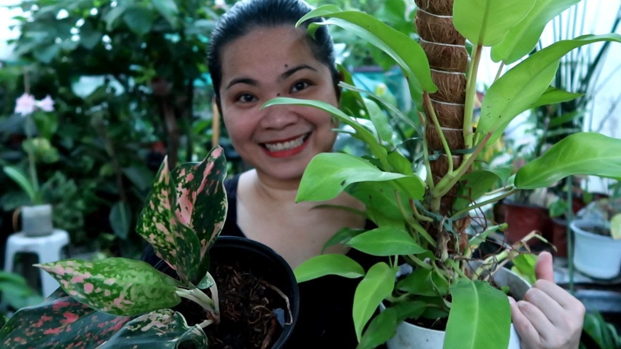 ISANG MABILISANG FLEX MUNA TAYO BAGO MAGLUTO NG DINNER + MURANG GROUP ...