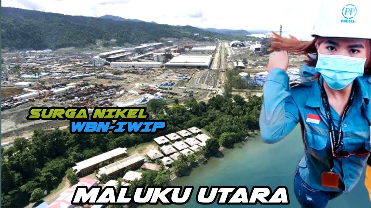 Mengintip Ekspansi Harta Karun Maluku Utara !! Hutan Halmahera ...