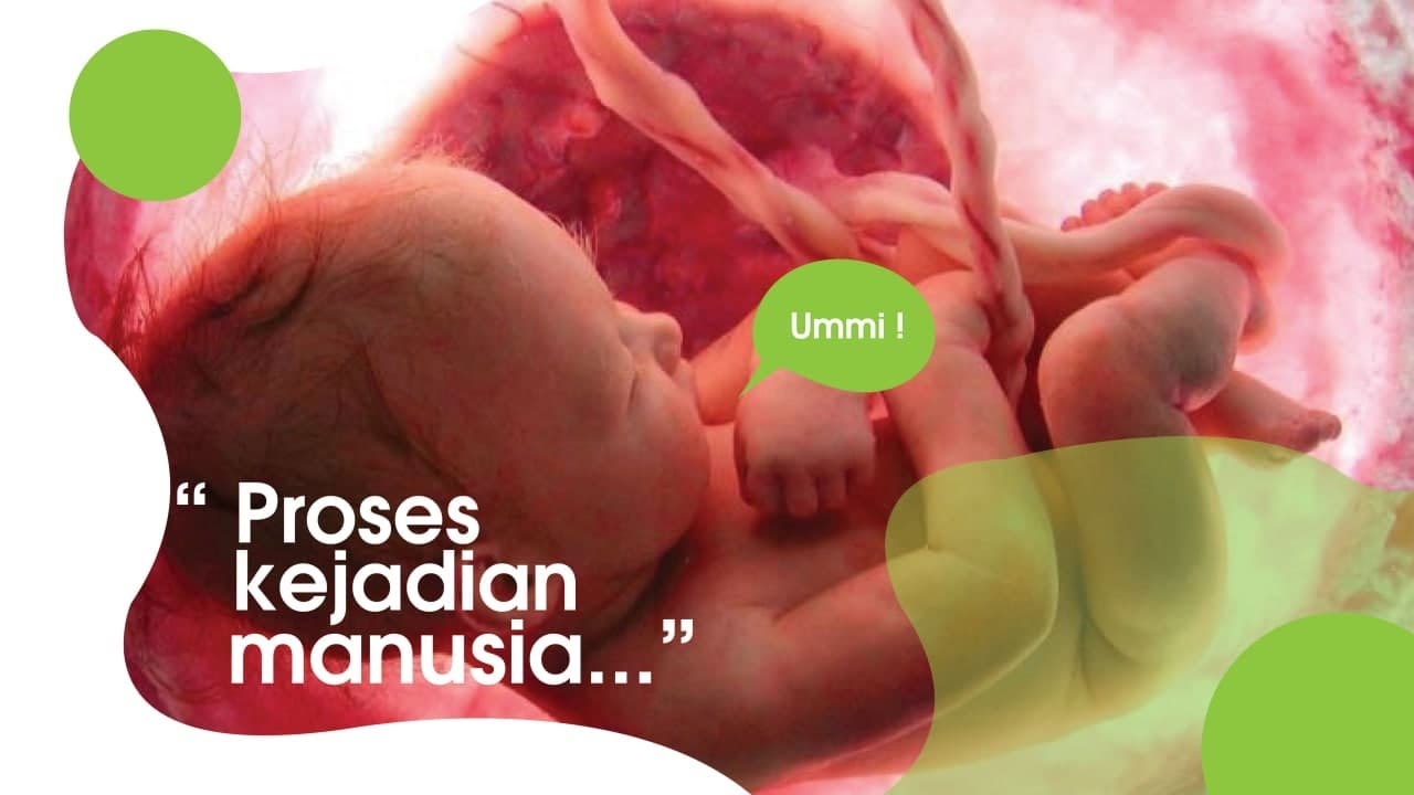 Proses Kejadian Manusia (Fakta Menarik) - YouTube