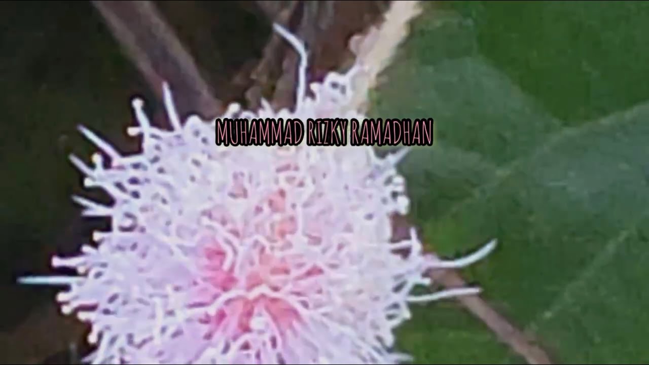 Muhammad Rizky Ramadhan || INTRODUCING VIDEO - YouTube