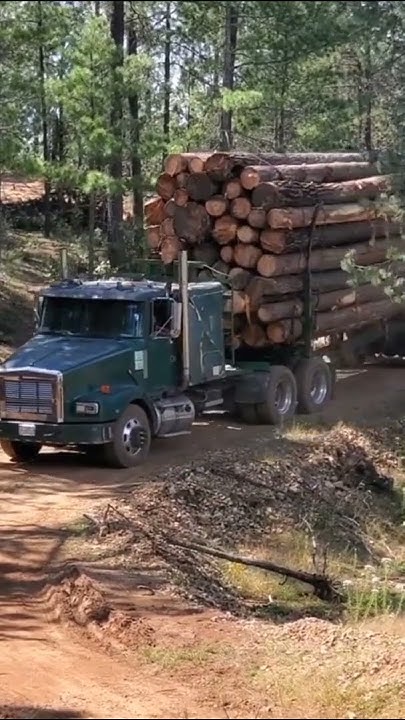 Experience logger on narrow road #automobile #logging #trailer - YouTube