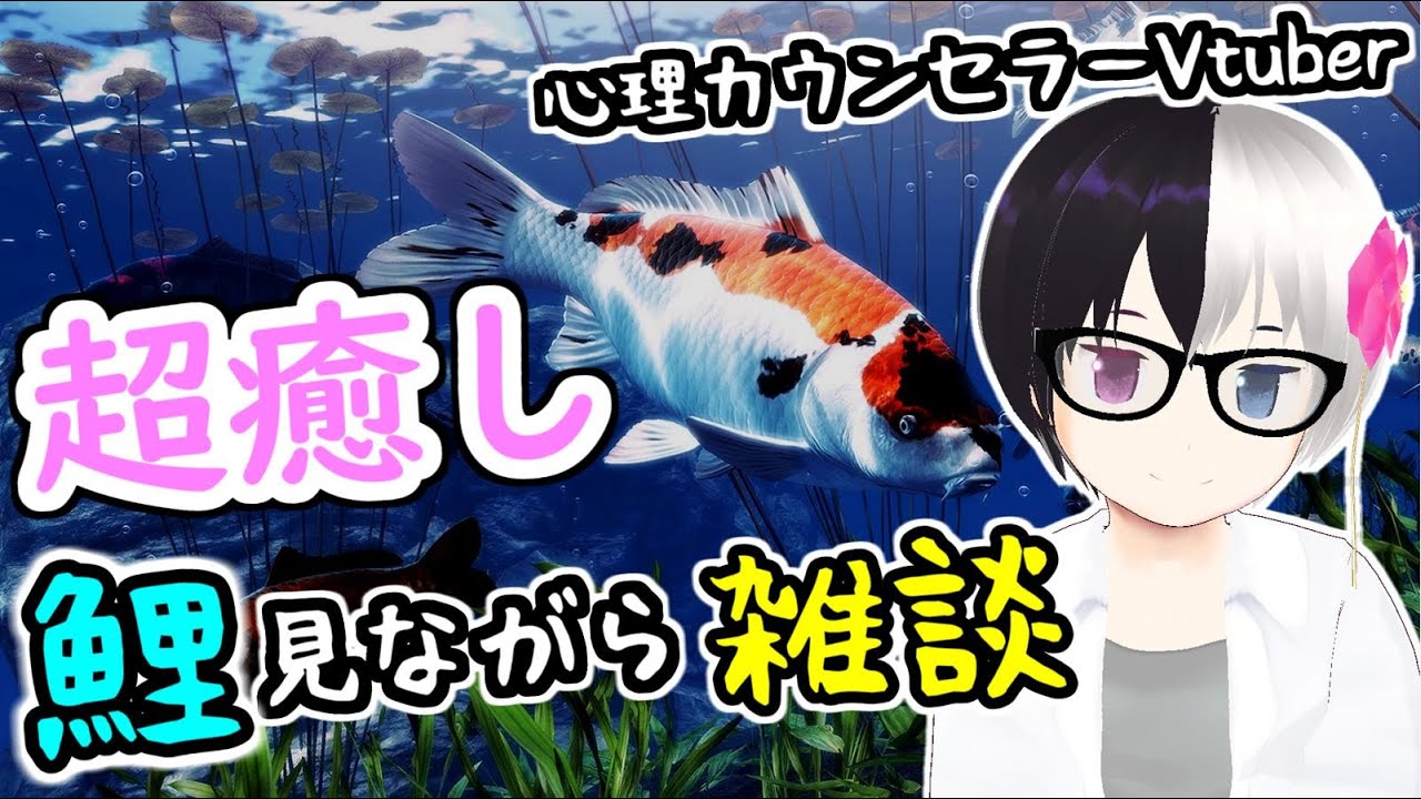 🔴【My koi】鯉を眺めながら超癒し癒され睡眠雑談配信【#Vtuber あくてん #心理カウンセラー #癒し】 - YouTube