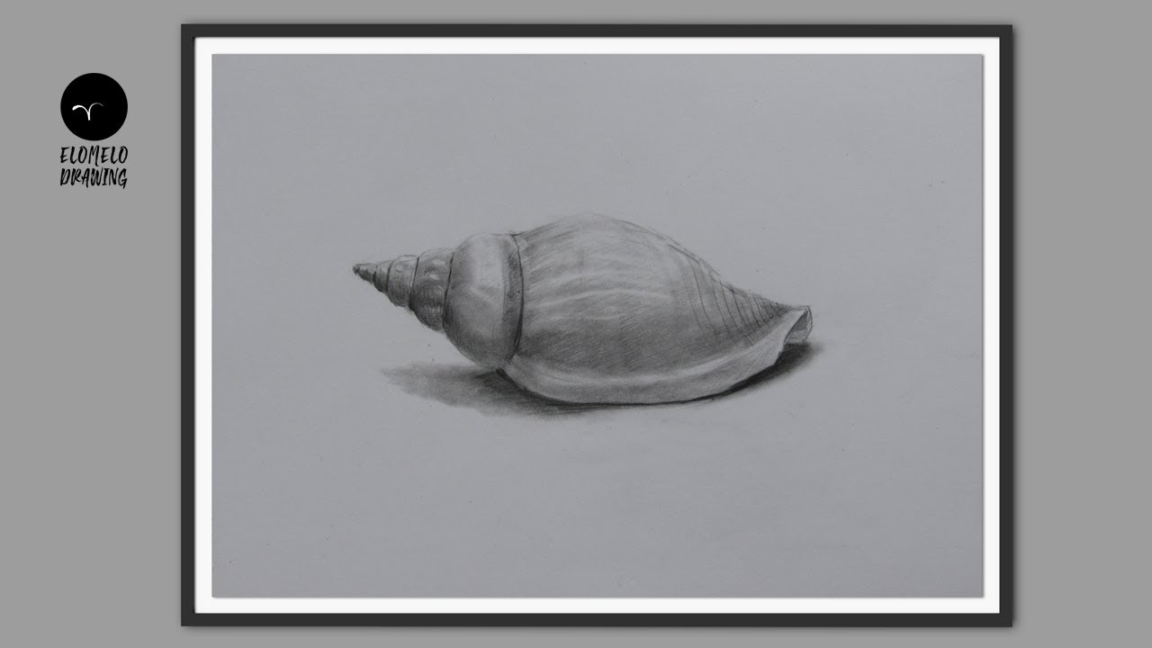 How To Draw A Seashell || Pencil Sketch || Drawing Tutorial || Art ...