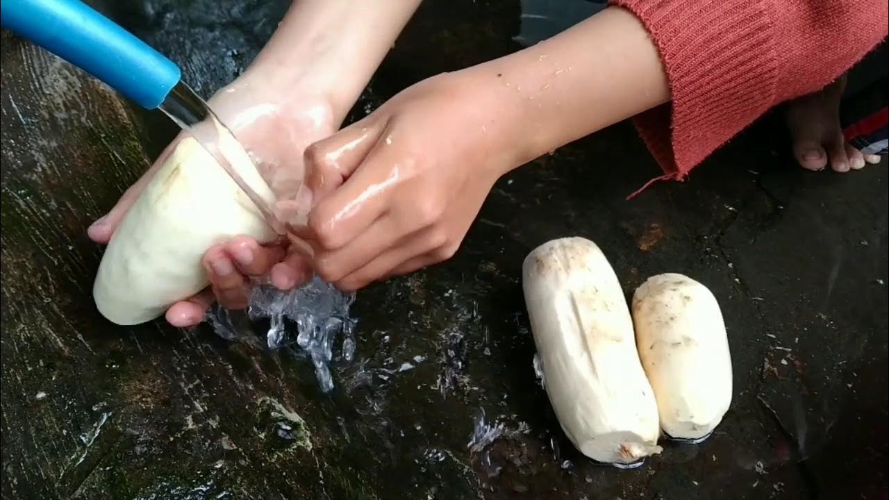 PROSES PEMBUATAN TAPE SINGKONG - YouTube