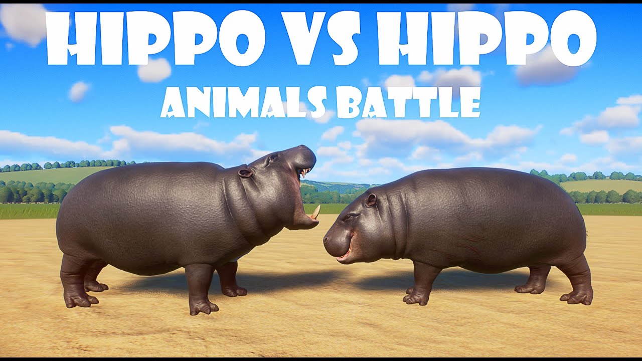 Pygmy Hippo Vs Pygmy Hippo Animals Battle in Planet Zoo - Planet Zoo ...