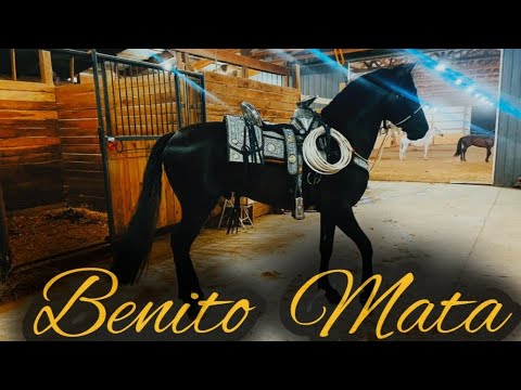 "Benito Mata" | (Video Oficial) Corrido TC - YouTube